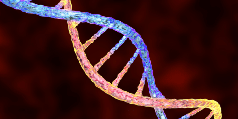 Types of EB - Cure EB